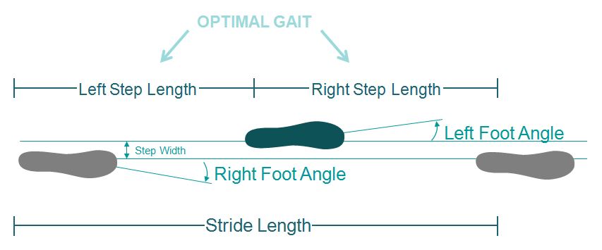 What Kinematic Data Does The Strideway Gait Analysis System Provide